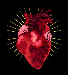 Heart grenade drawing Royalty Free Vector Image