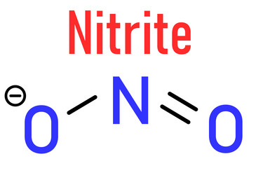 Nitrite anion chemical structure skeletal formula Vector Image