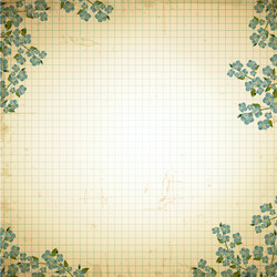 Vintage grunge burnt paper Royalty Free Vector Image