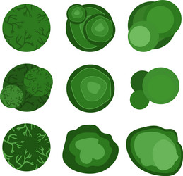 Shrubs Plan View Vector Images (72)