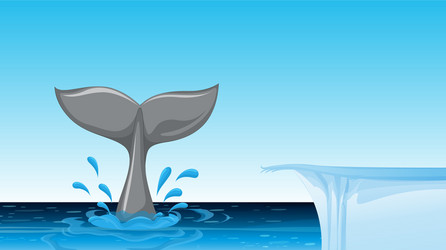 Tail Vector Images (over 170,000)