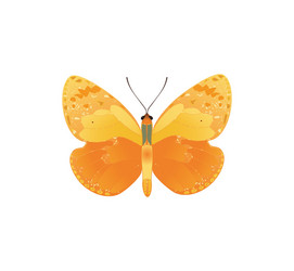 Yellow butterfly cartoon Royalty Free Vector Image