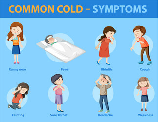 Common cold symptoms cartoon style infographic Vector Image