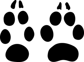 Fox footprint Royalty Free Vector Image - VectorStock
