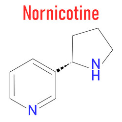 Nornicotine alkaloid molecule skeletal formula Vector Image