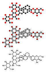 Rebaudioside a molecule one of the main steviol Vector Image