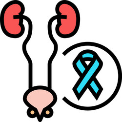 Genitourinary System Vector Images (over 140)