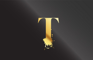 Black grey gradient t alphabet letter icon logo Vector Image