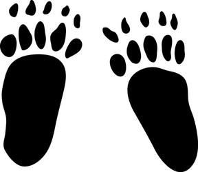 Bear Footprint Vector Images (over 8,900)