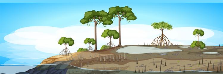 Mangrove Vector Images (over 930)