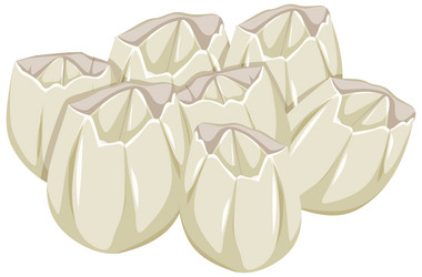 Barnacle Cartoon Vector Images (69)