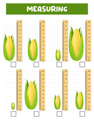 Measuring length with ruler education developing Vector Image