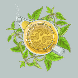 Nettle set Royalty Free Vector Image - VectorStock