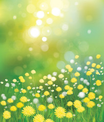 Spring banner with sunburst background Royalty Free Vector