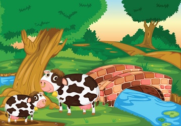 Cow Paddock Cartoons Vector Images (35)