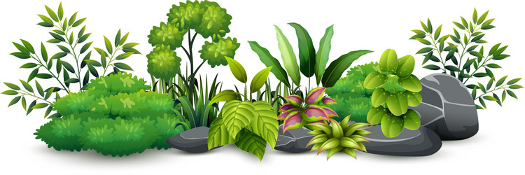 Little green plant botanical landscape Royalty Free Vector