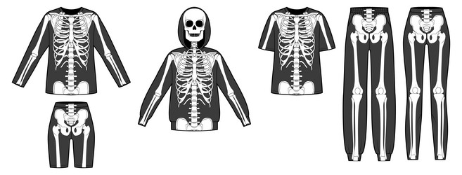 Skeleton Front Back Vector Images (over 410)