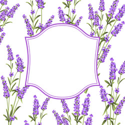 Lavender Line Vector Images (over 2,700)