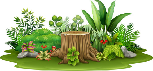 Little green plant botanical landscape Royalty Free Vector