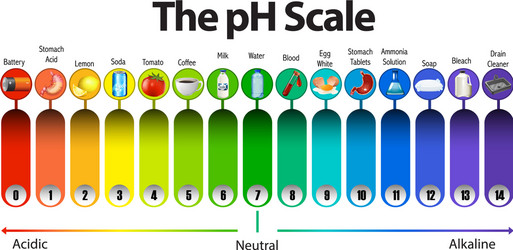 Circle ph colour scale Royalty Free Vector Image