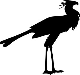 Swoop Shapes Vector Images (over 200)