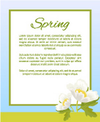 Spring poster with text in frame colorful bouquet Vector Image