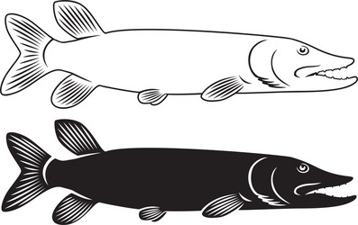 Black koi fish tattoo Royalty Free Vector Image