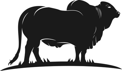Vintage angus cattle logo Royalty Free Vector Image