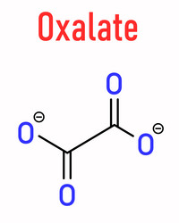 Oxalate anion chemical structure skeletal formula Vector Image