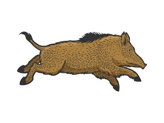 Running Wild Hog Vector Images (92)