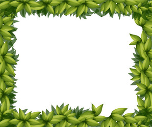 Leaf Margin Vector Images (over 450)