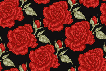 Seamless pattern with red rose flowers on black Vector Image