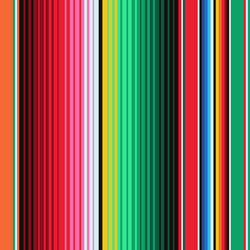 Mexican blanket stripes seamless pattern Vector Image