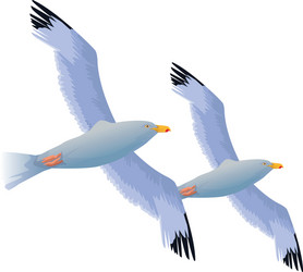 Seagulls icons Royalty Free Vector Image - VectorStock
