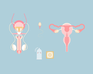 Doctor and female reproductive system Royalty Free Vector