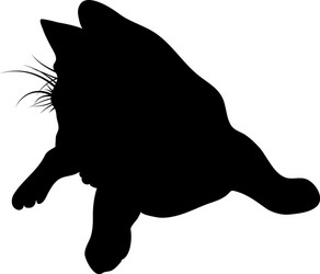 Furry cat silhouette Royalty Free Vector Image