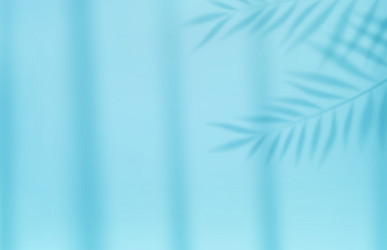 Shadow overlays on transparent background Vector Image