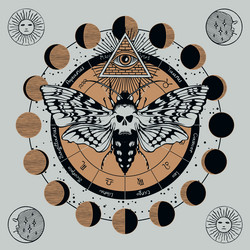 Banner with hand-drawn moth and magical symbols Vector Image