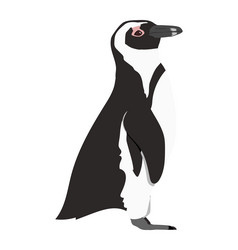 Penguin Side View Vector Images (77)