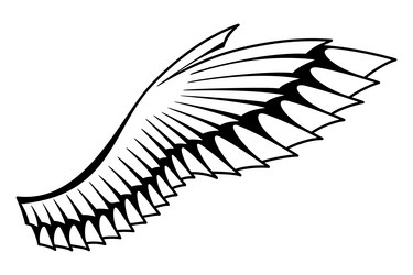 Wings sketch collection stylized birds Royalty Free Vector