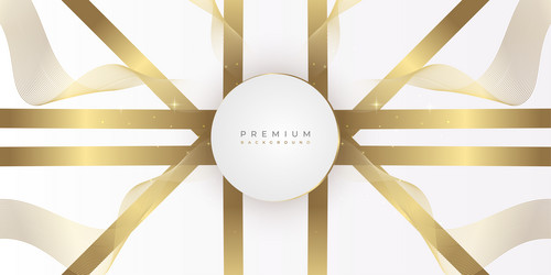 Luxury and elegant black white gold background Vector Image