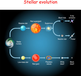 Different types stars in dark space Royalty Free Vector