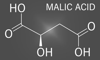 Malic acid fruit molecule skeletal formula Vector Image