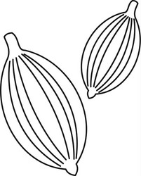 Cardamom icon outline style Royalty Free Vector Image