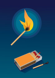 3d realistic match stick icon set closeup Vector Image