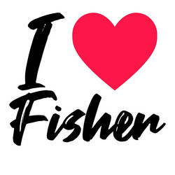 Fisher Vector Images (over 8,500)
