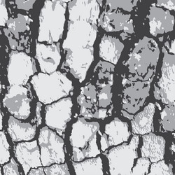 Tree bark texture grunge rough effect wood Vector Image