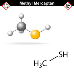 Methyl orange colors in media with different ph Vector Image
