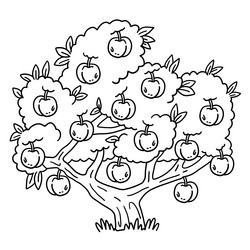 Almond tree fruit plant isolated coloring page Vector Image