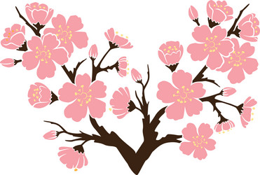 Sakura Vector Images (over 31,000)
